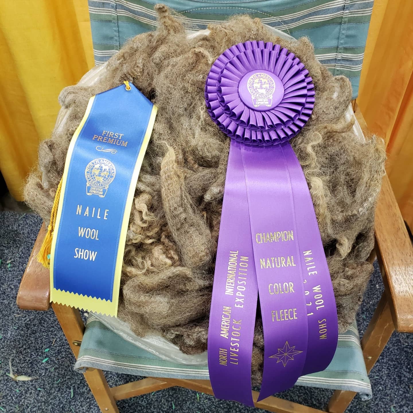 3L&S Farms - Michigan Romney Sheep Wool Direct from Farmer Sheep Goods