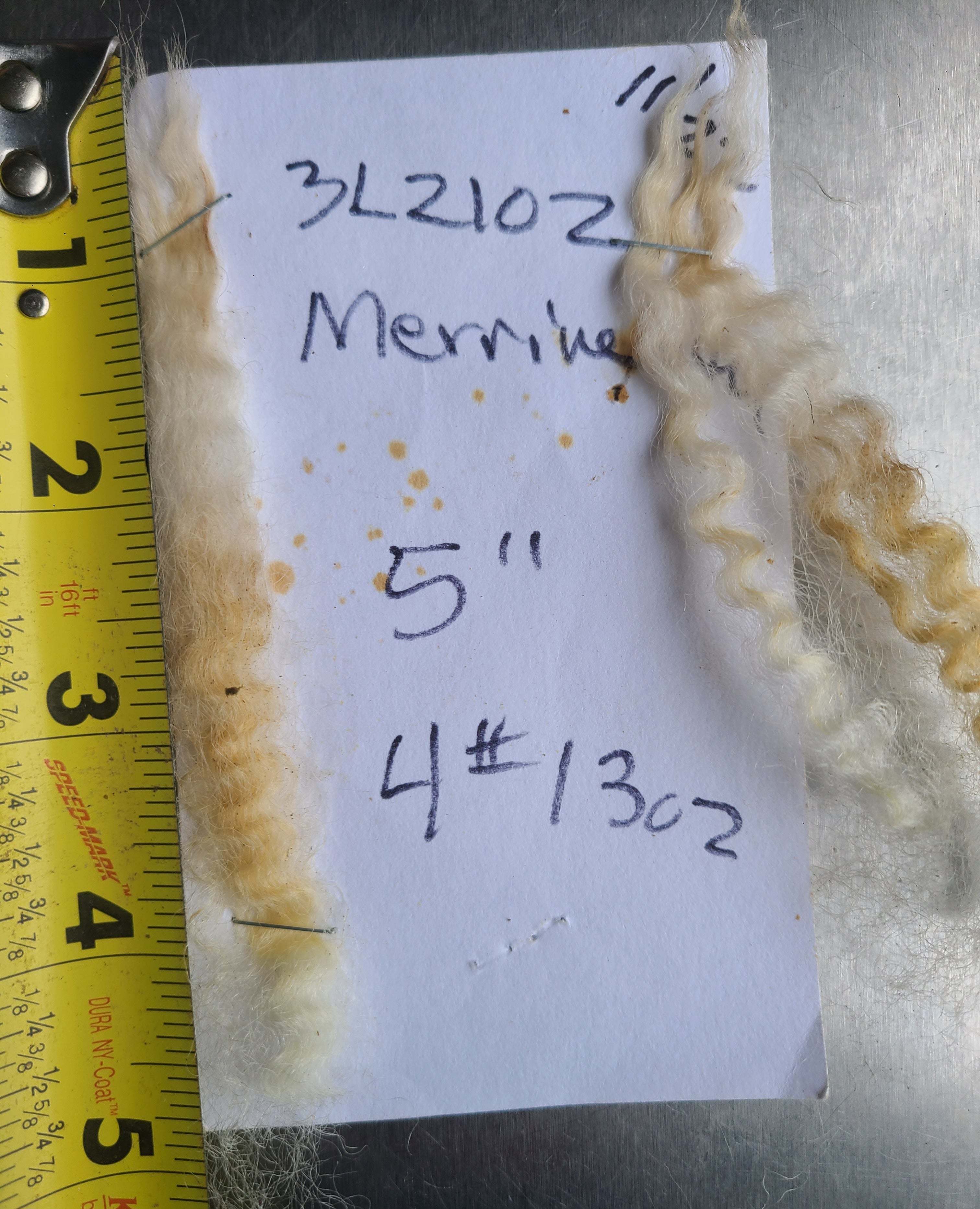 3L&S Farms - Michigan Romney Sheep Wool Direct from Farmer Sheep Goods