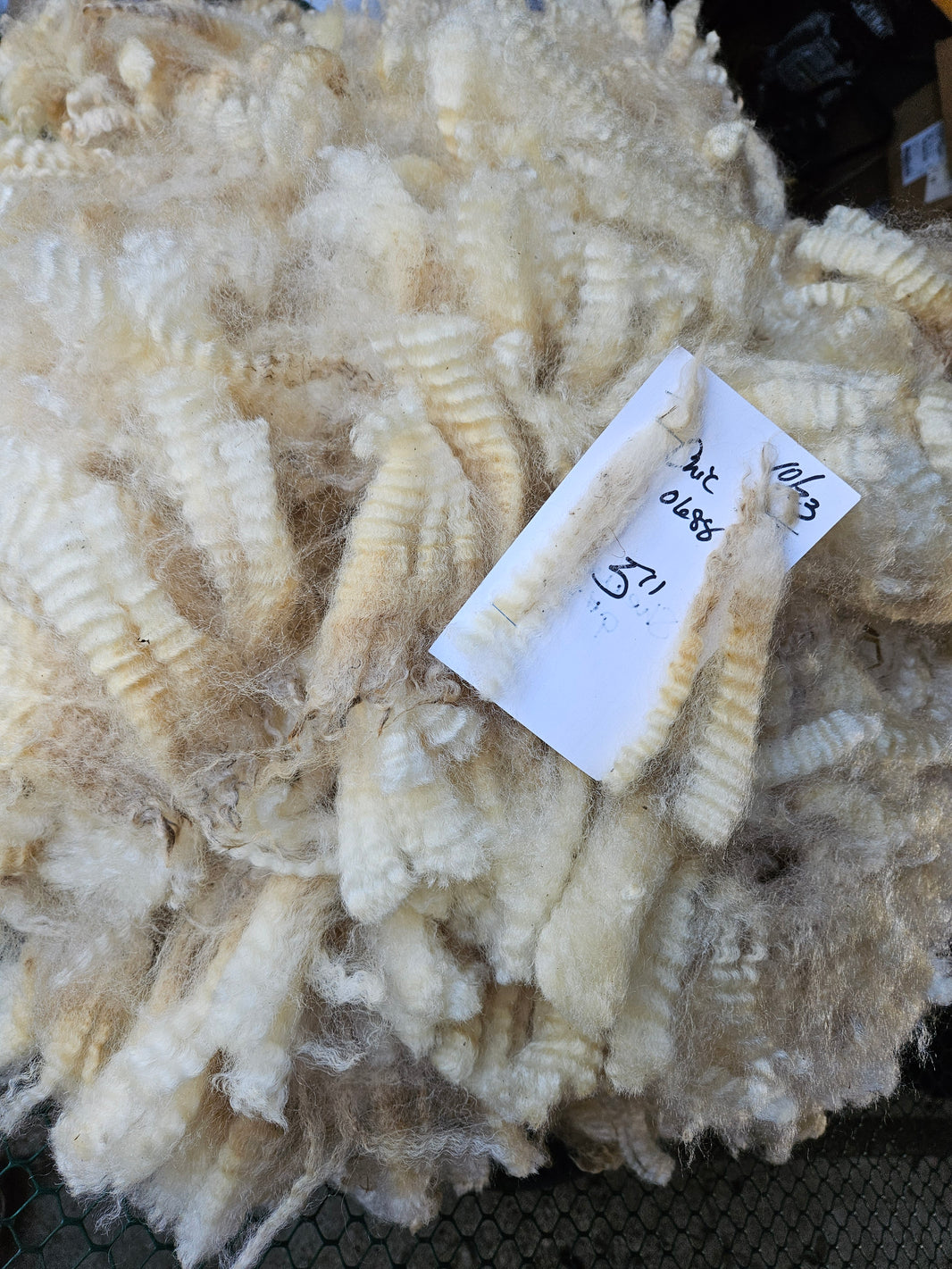 3L&S Farms - Michigan Romney Sheep Wool Direct from Farmer Sheep Goods