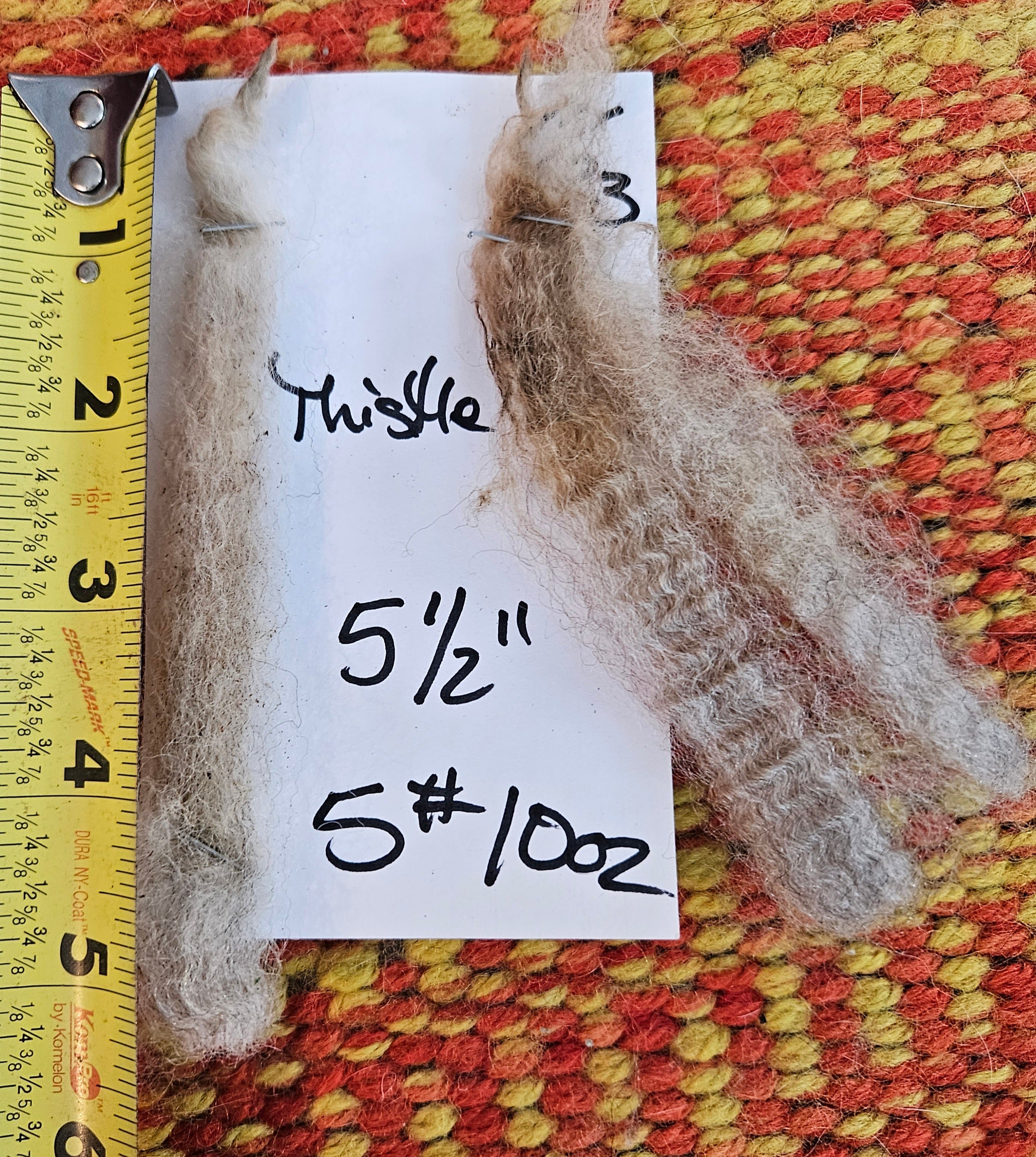 3L&S Farms - Michigan Romney Sheep Wool Direct from Farmer Sheep Goods