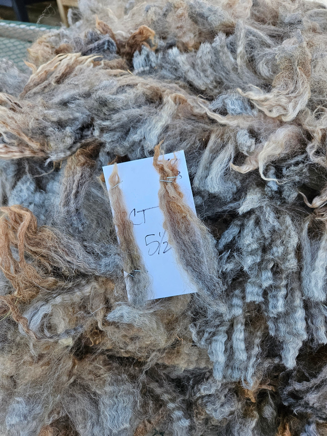 3L&S Farms - Michigan Romney Sheep Wool Direct from Farmer Sheep Goods