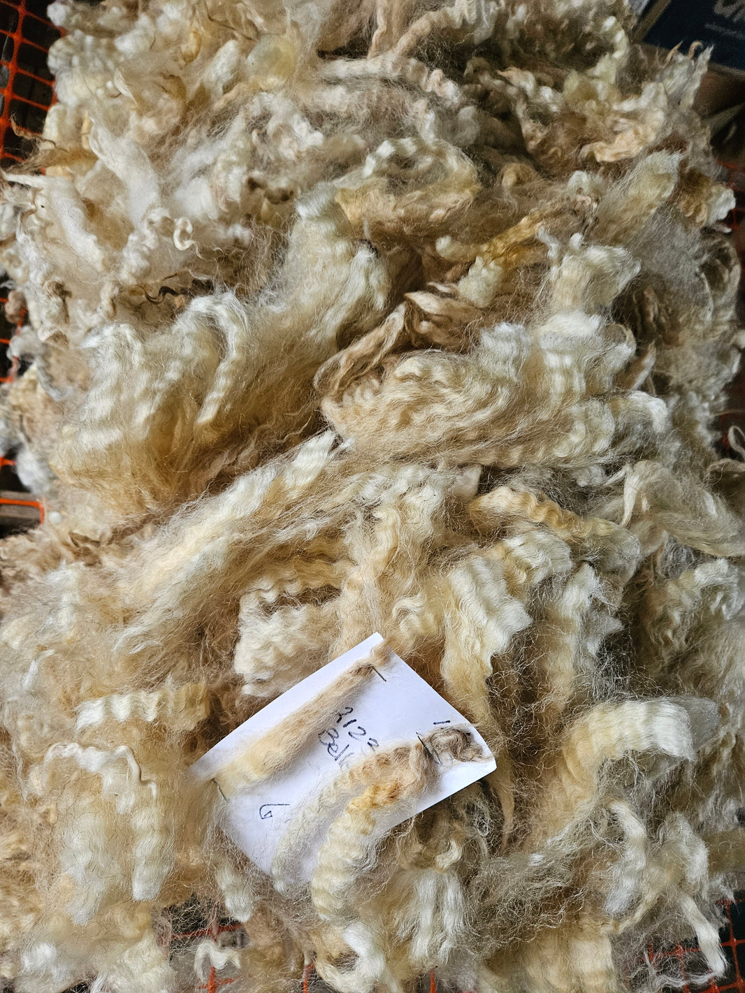3L&S Farms - Michigan Romney Sheep Wool Direct from Farmer Sheep Goods
