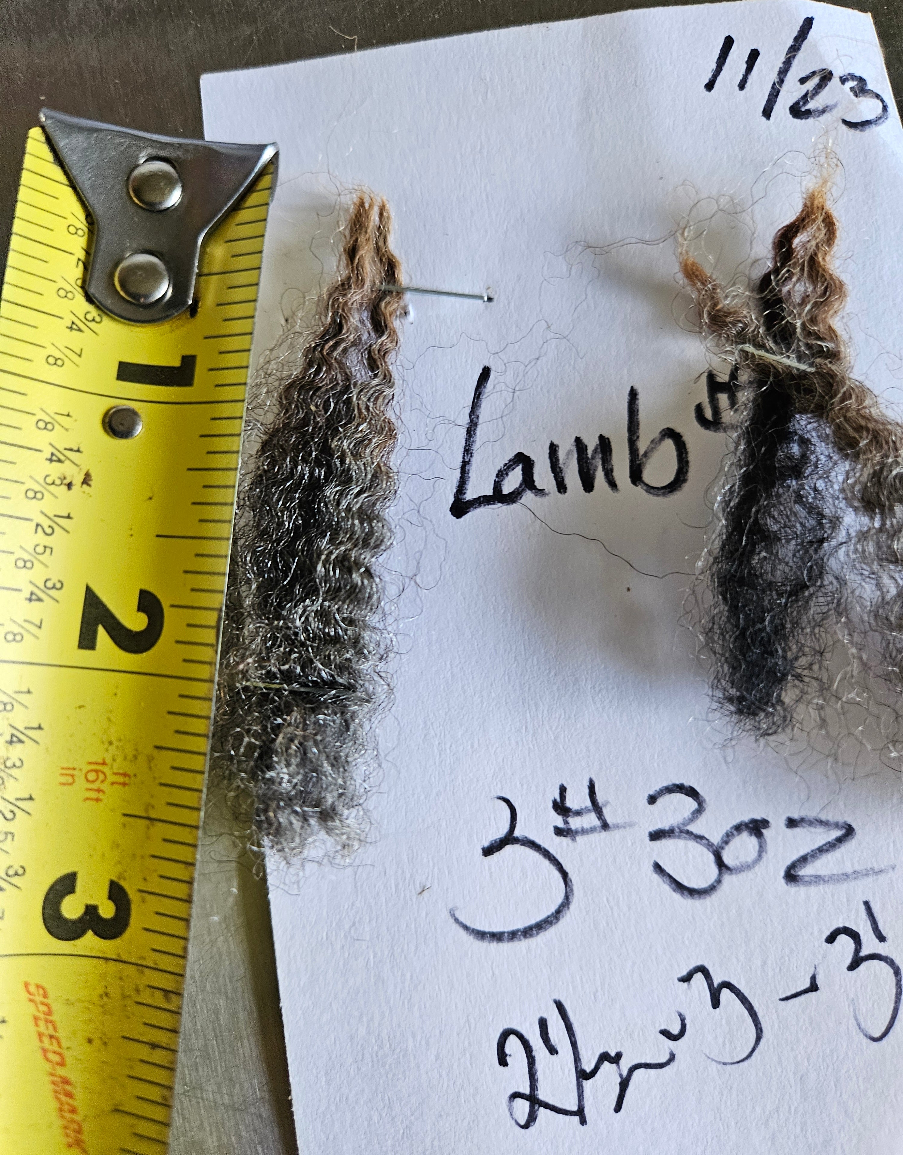3L&S Farms - Michigan Romney Sheep Wool Direct from Farmer Sheep Goods
