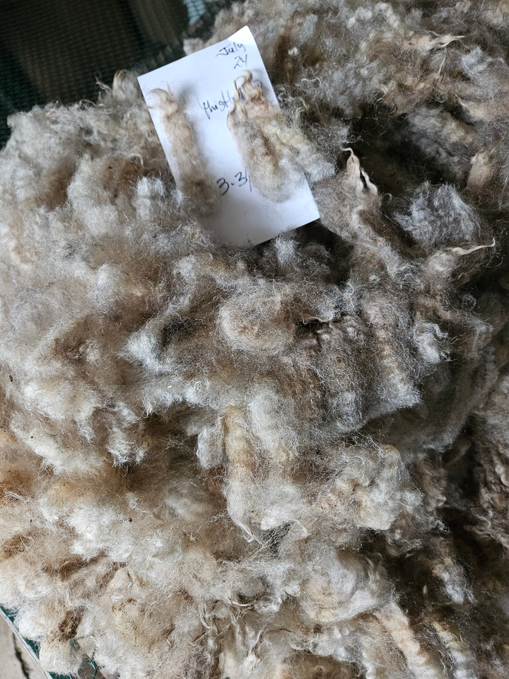 3L&S Farms - Michigan Romney Sheep Wool Direct from Farmer Sheep Goods