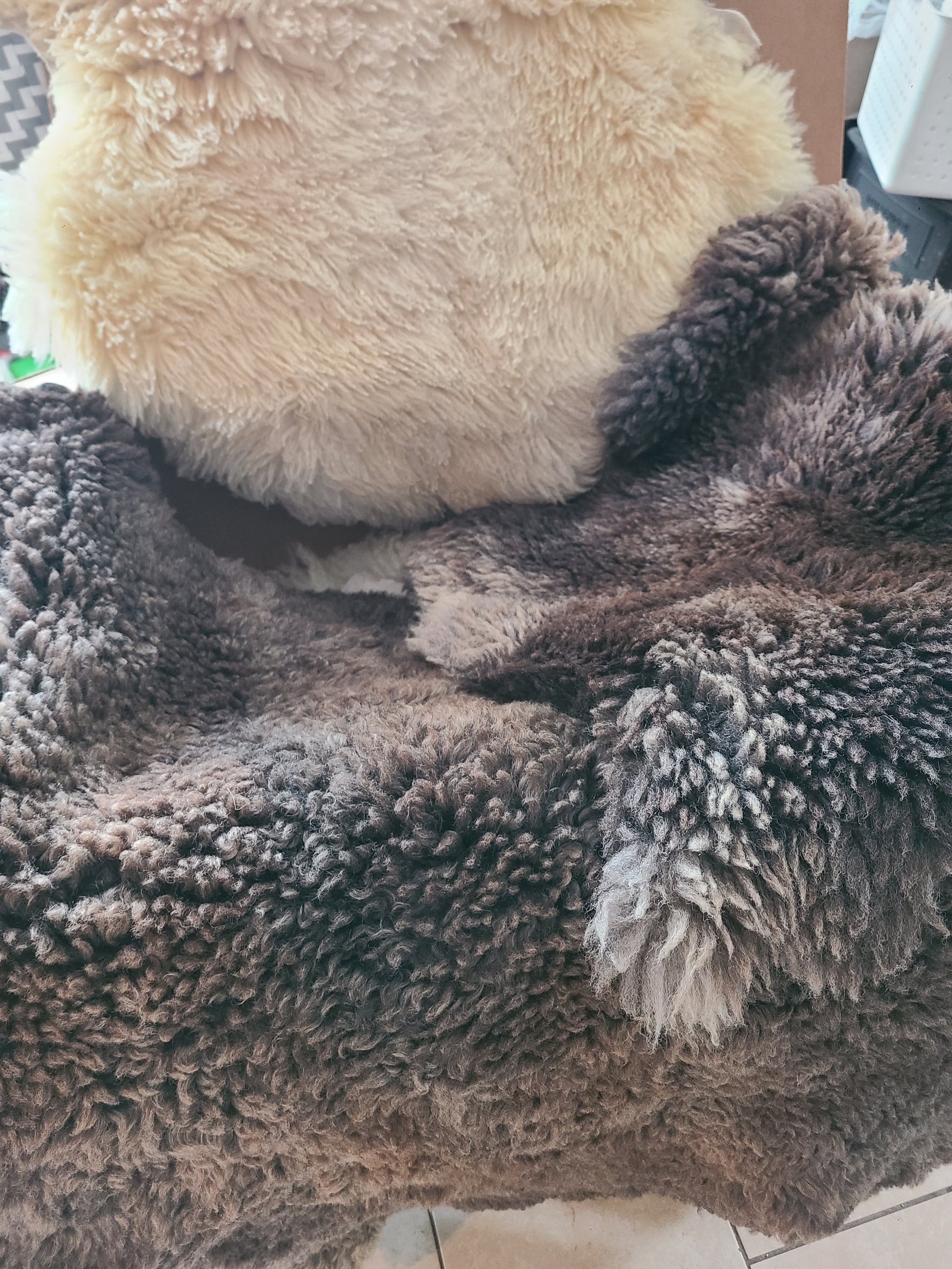 3L&S Farms - Michigan Romney Sheep Wool Direct from Farmer Sheep Goods